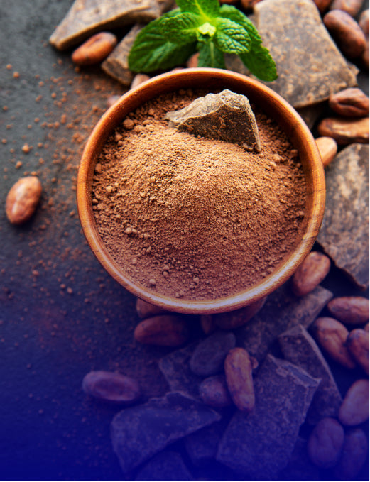 NATURAL COCOA POWDER – SimpliSourceIndia